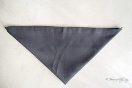 How to Fold Bat Napkins – The House of Elyn Ryn