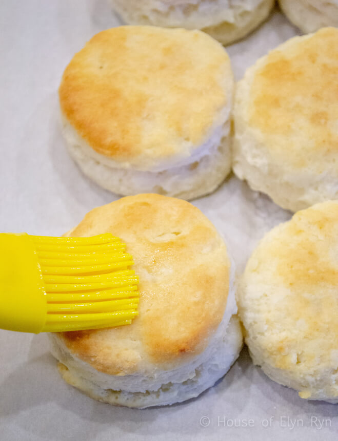 Red Pepper Jelly Chicken Biscuits – The House of Elyn Ryn