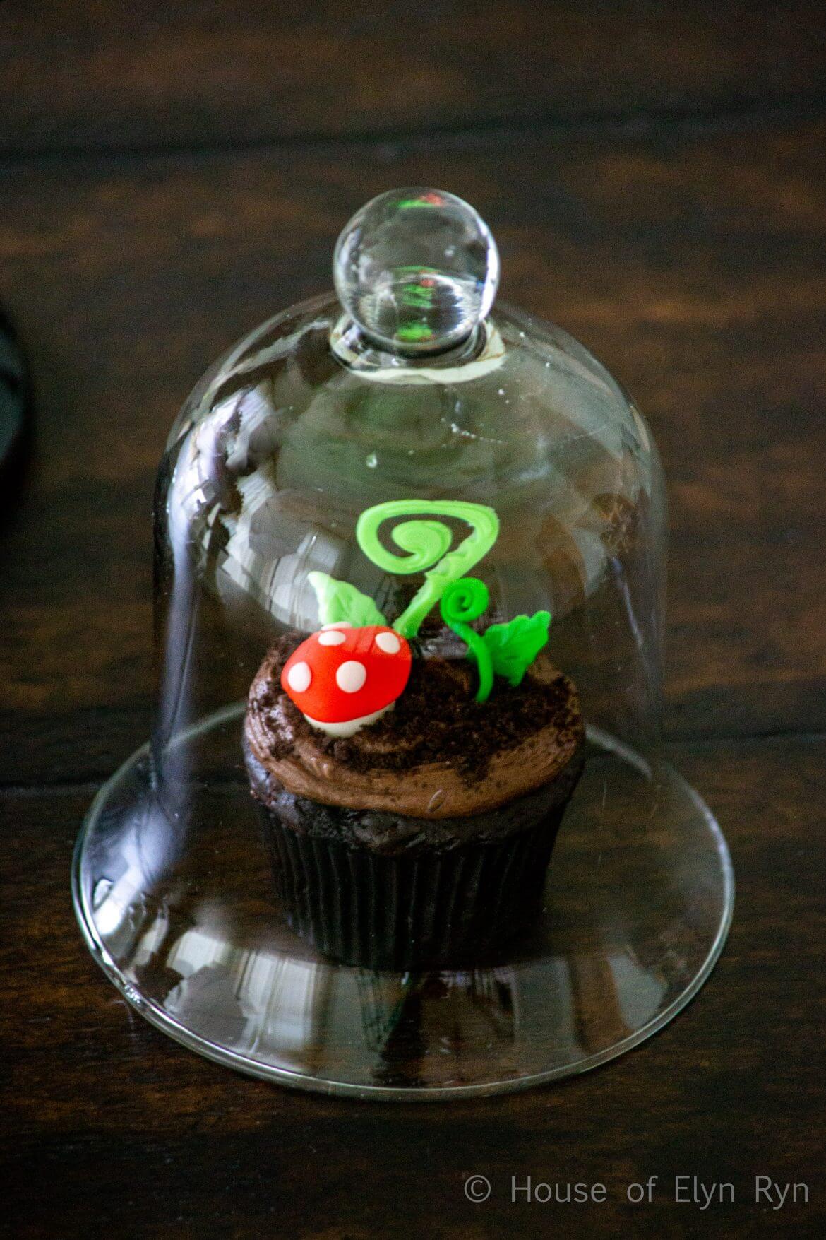 Terrarium Chocolate Cupcakes – The House of Elyn Ryn