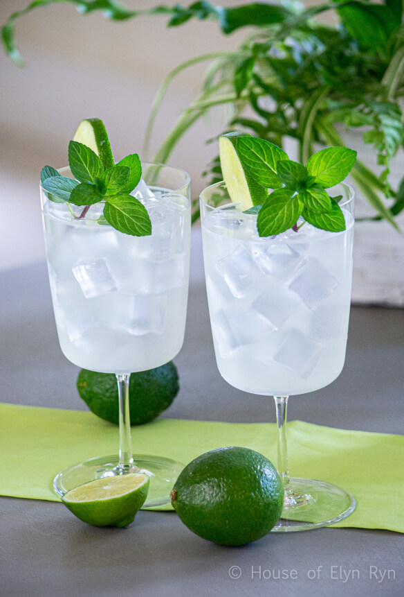 Jalapeño Limeade – The House of Elyn Ryn