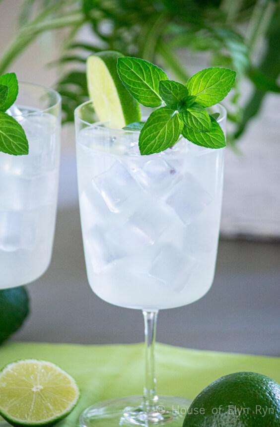 Jalapeño Limeade – The House of Elyn Ryn