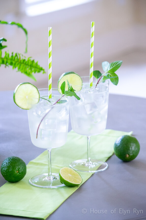 Jalapeño Limeade – The House of Elyn Ryn