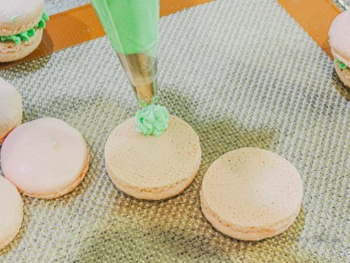 How to Make Watermelon Macarons – The House of Elyn Ryn