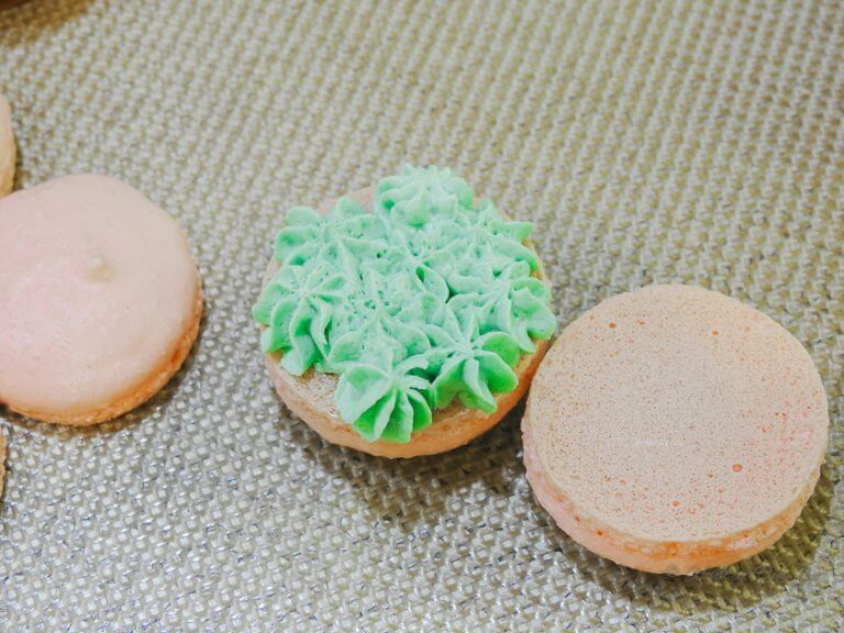 How to Make Watermelon Macarons – The House of Elyn Ryn