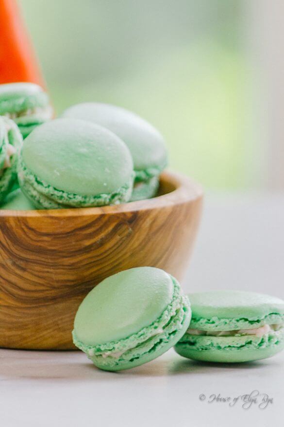How to Make Watermelon Macarons – The House of Elyn Ryn