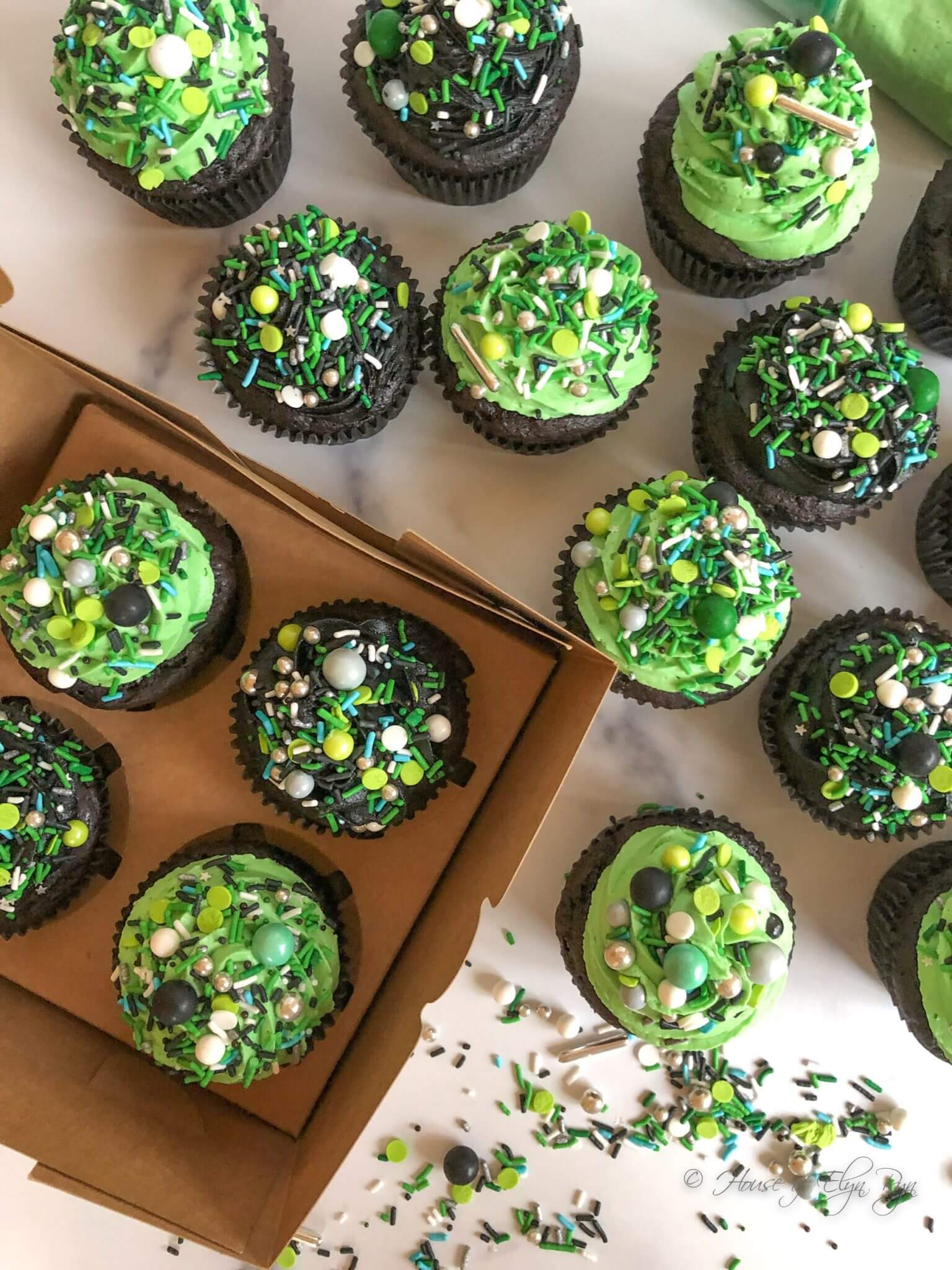 Green and Black Chocolate Cupcakes – The House of Elyn Ryn