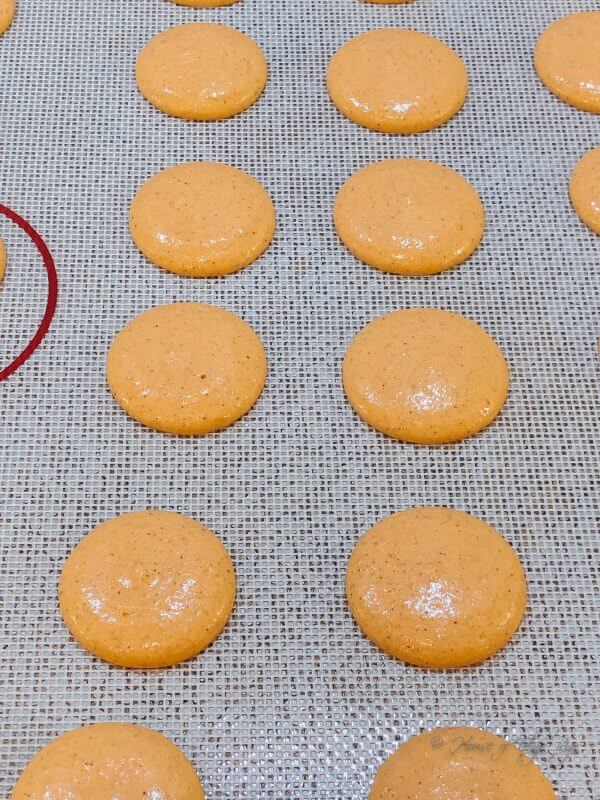 How to Make Pumpkin Spice Macarons - The House of Elyn Ryn
