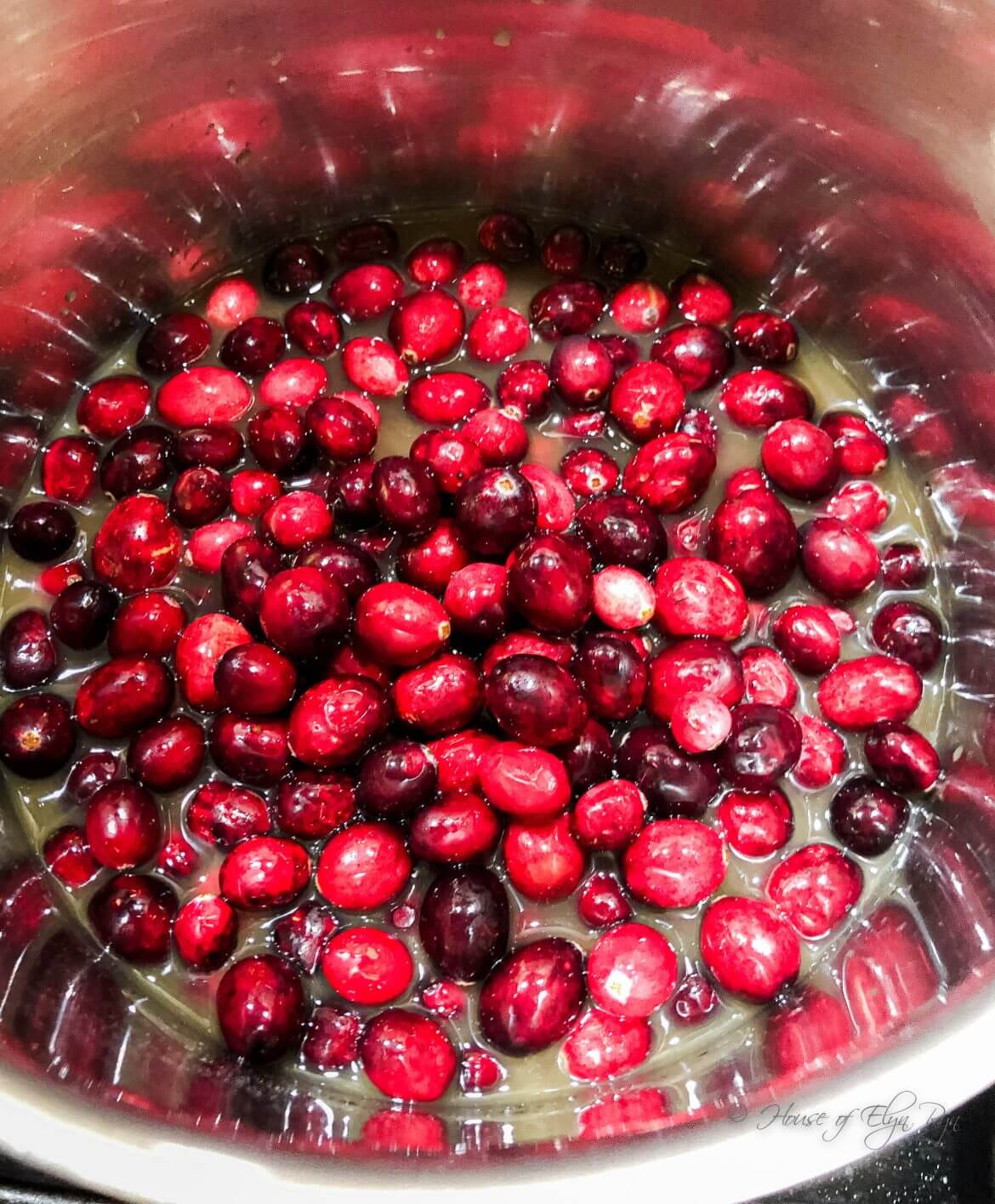 No-Bake Cranberry Cheese Dip – The House of Elyn Ryn