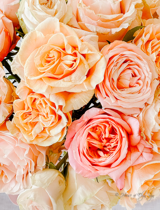 Rose Cupcakes: You Need to Try These Beautiful Treats – The House of ...